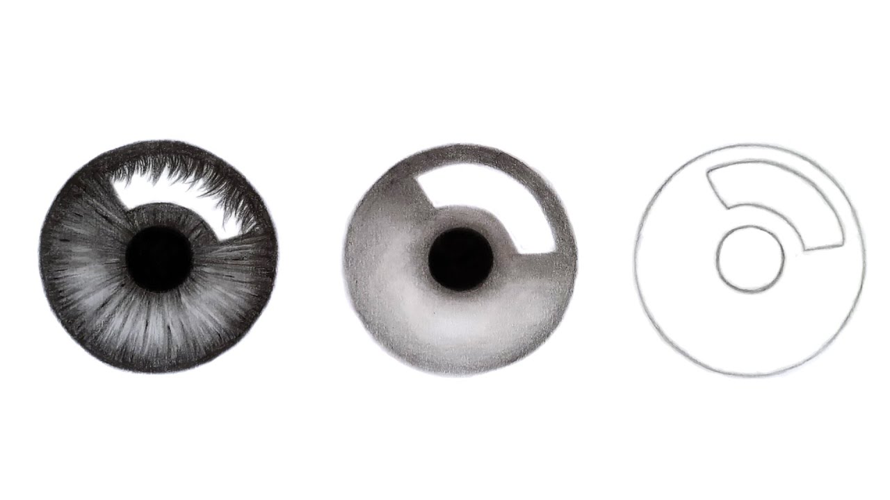 Realistic Drawing:  How to draw simple Iris step by step for beginners | art Tutorial
