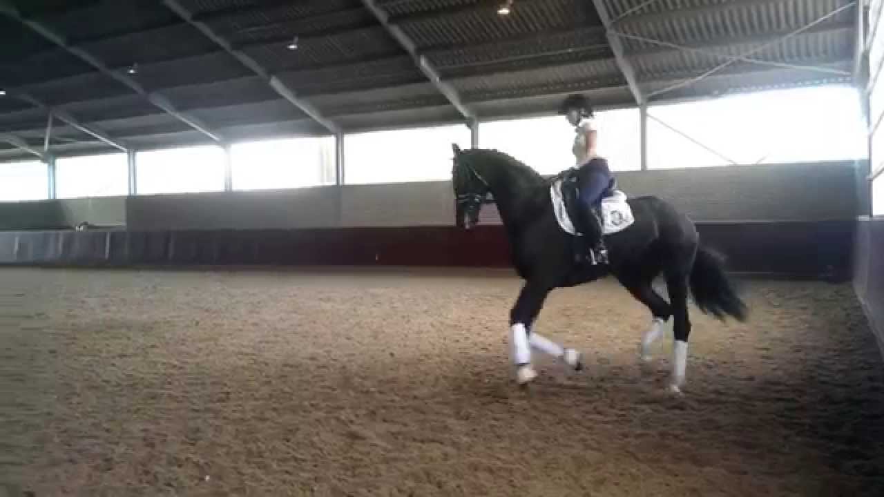 VIDEO0299