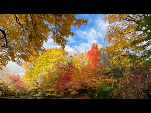 AUTUMN, FALL SEASON in AMERICA
