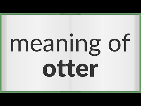 Otter | meaning of Otter