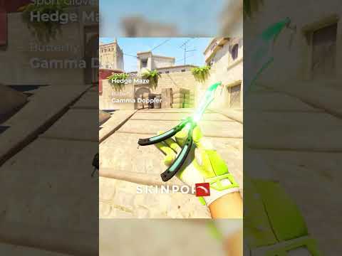 Donk Settings and Loadout