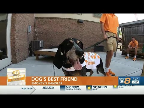 Smokey X’s final season on Rocky Top