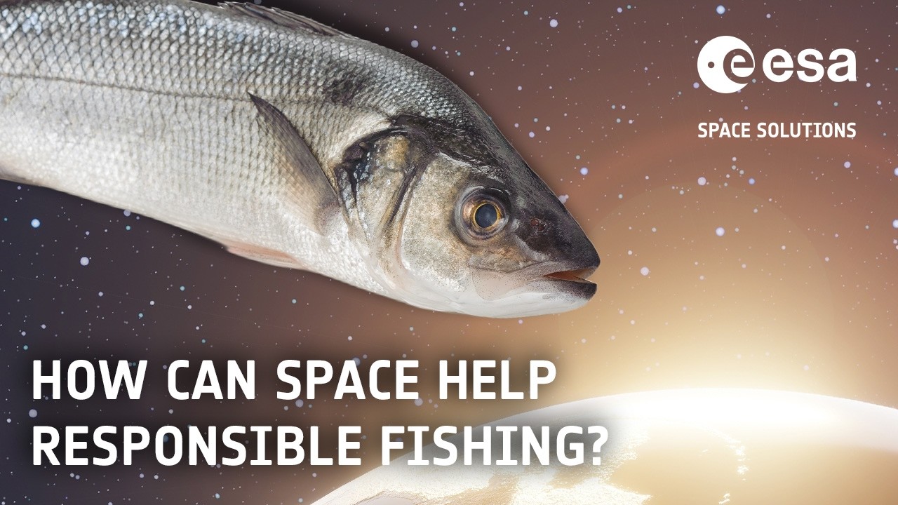 How Can Space Help Responsible Fishing? | ESA Space Solutions