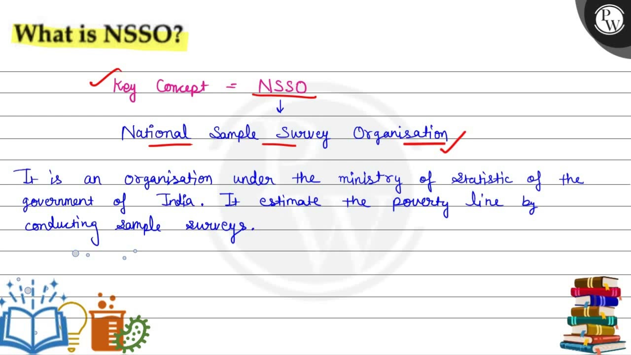 What is NSSO?