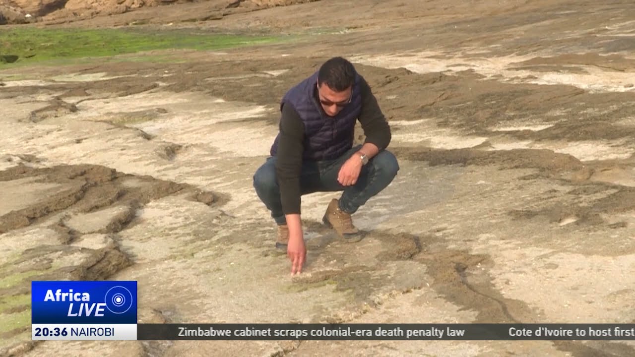 100,000-year-old human footprints found along Moroccan coast