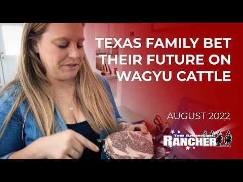 Texas Family Bets Their Future on Wagyu Cattle | The American Rancher