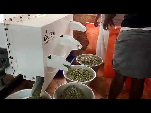 Food Grading Machine at Best Price in India