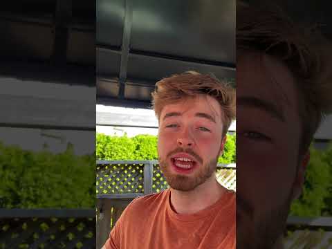 I did a social media detox for 24 hours...