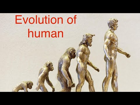 Evolution of human | history of human | how old are humans on earth