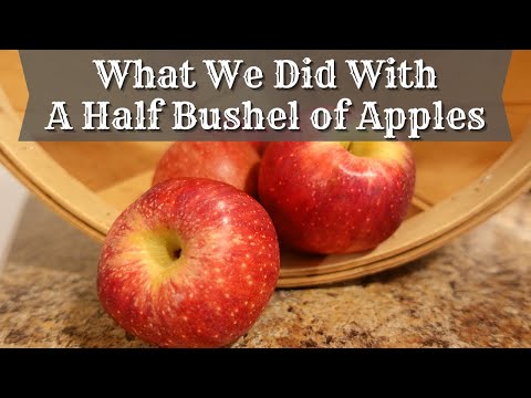 What We Did With A Half Bushel Of Apples | Making Apple Butter | Making Apple Jelly From The Peels