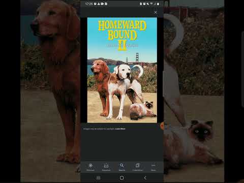 Happy 27th Anniversary Homeward Bound II Lost In San Francisco (1996)