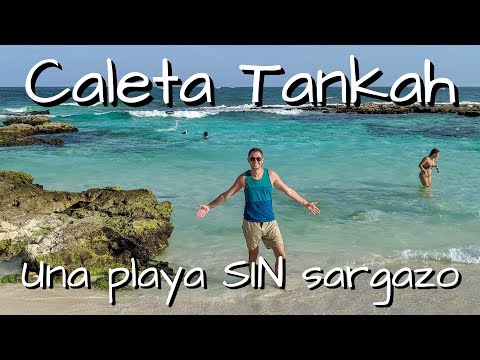 Caleta Tankah: una de las mejores playas libres de sargazo