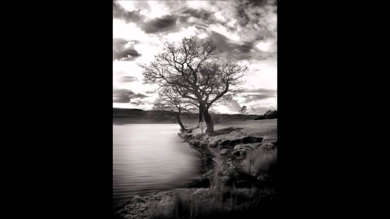 Biokonstruktor - Biokonstruktor