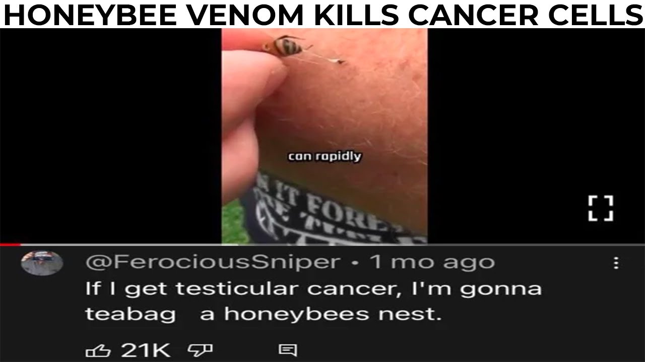 CURSED COMMENTS THAT SHOULD BE ILLEGAL 80