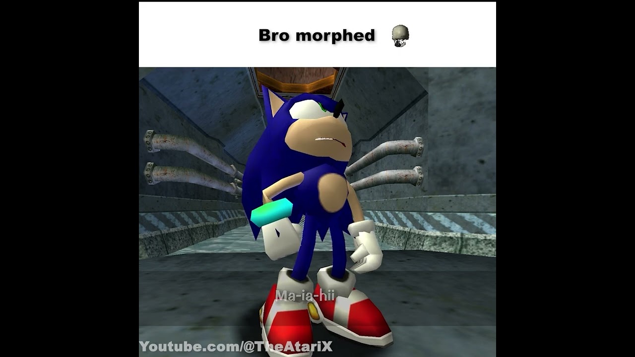 My mans transfigured himself 💀#sonic #memes