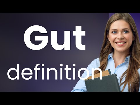 Gut — GUT meaning