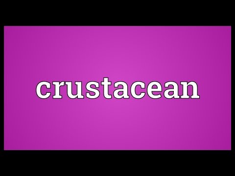 Crustacean Meaning