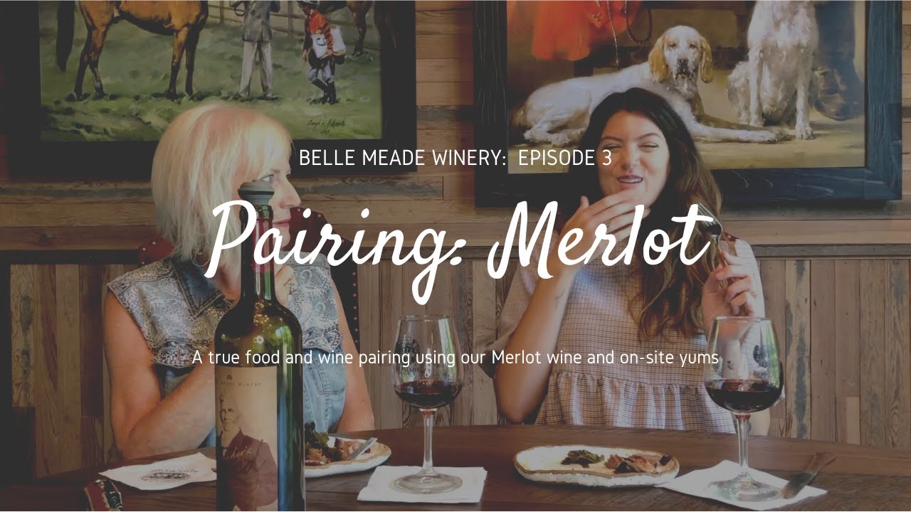 Food and Wine Pairing | Merlot | 5 S's of Wine Tasting