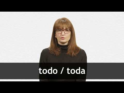 English Translation of “TODO” | Collins Spanish-English Dictionary