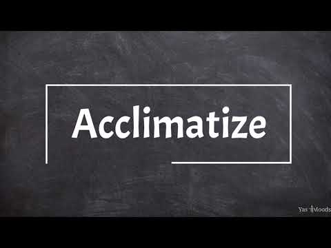 How to Pronounce Acclimatize?