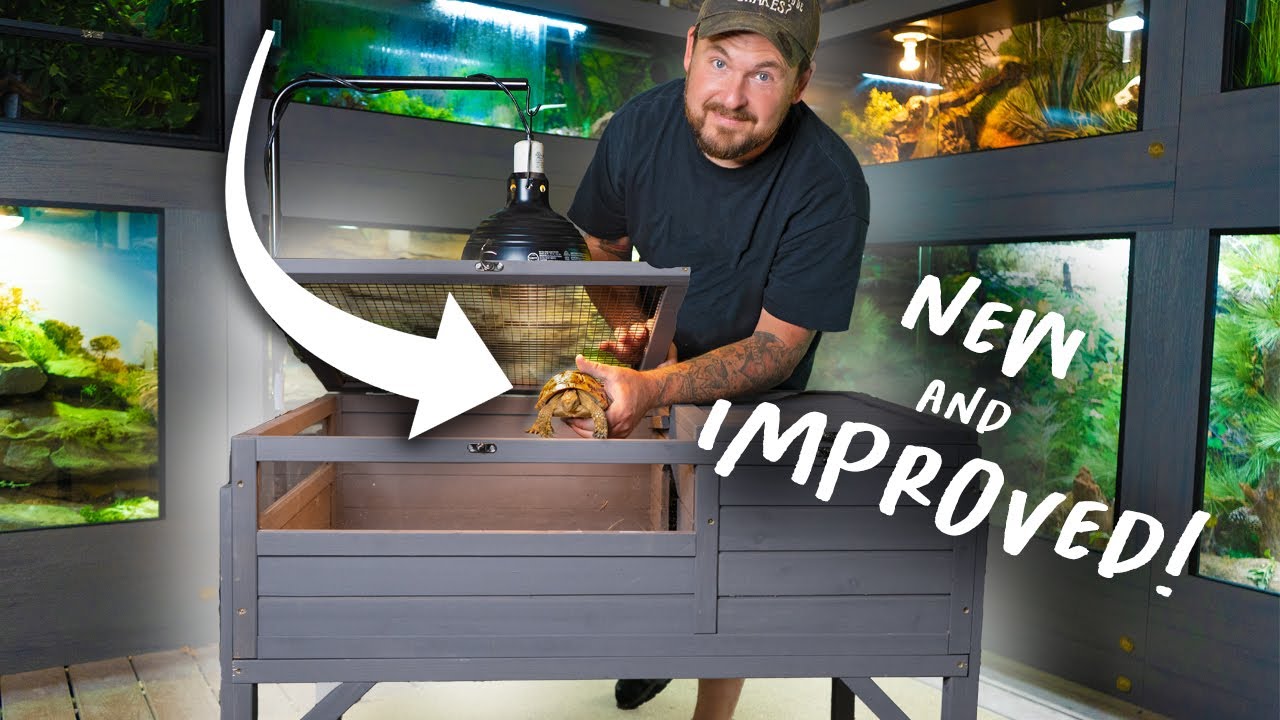 INDOOR TORTOISE HOUSE! (Clean, Easy, Efficient)