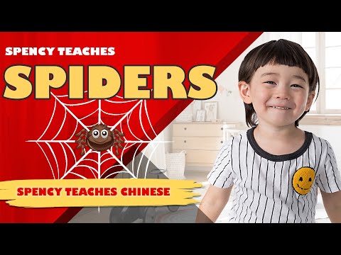 Spency Teaches: Spiders | Spency Teaches Chinese