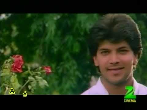 Mujhko Yeh Zindagi - Sailaab (1990) - Amit Kumar & Asha Bhosle - Bappi Lahiri - HD Video