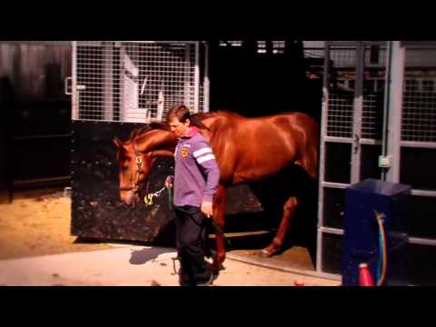 Martin Smith Racing Promotional Film