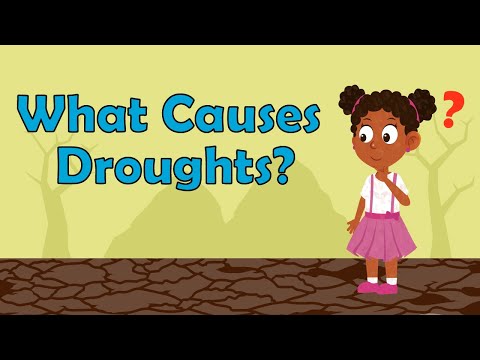What Causes Droughts? | What Is A Drought? | Science Facts | Science Facts For Kids | Biology Facts