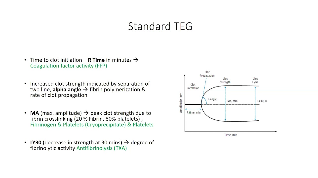 Thromboelastography: Practical Implications with Saad Bhatti, MD