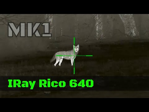 Iray Rico MK1 640 **1st HUNT and REVIEW**