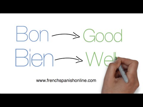 Bon vs Bien in French