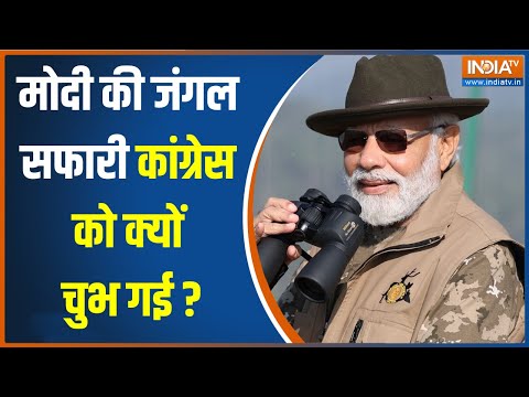 PM Modi Mission Tiger : 'Project Tiger'... How many numbers have ...