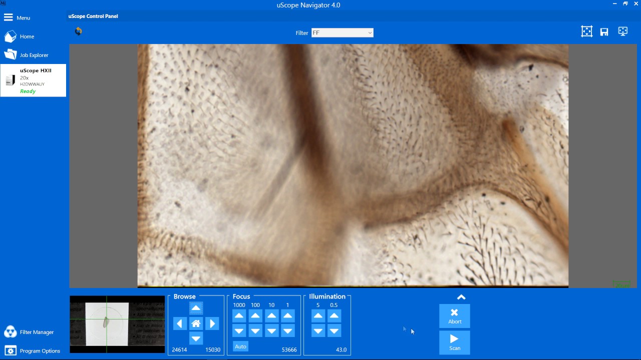 Using the Initial Focus Method (video) :: Microscopes Intl.
