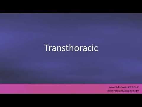 Pronunciation of the word(s) "Transthoracic".