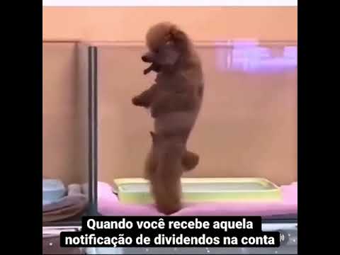 SÓ QUEM INVESTE APROVEITA A VIDA ASSIM | DIVIDENDOS BARSI AÇÕES RENDA PASSIVA