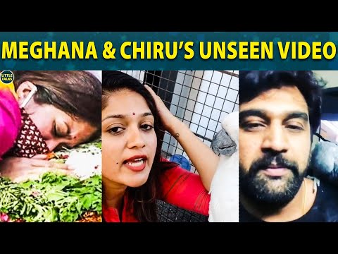 Meghana Raj & her Husband Chiranjeevi's Unseen Video with their Pet | Heart Touching Video