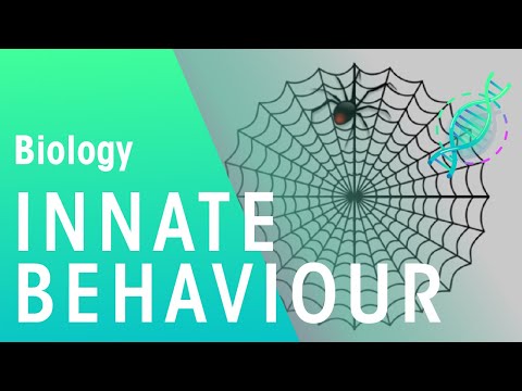 Innate Behaviour | Ecology & Environment | Biology | FuseSchool