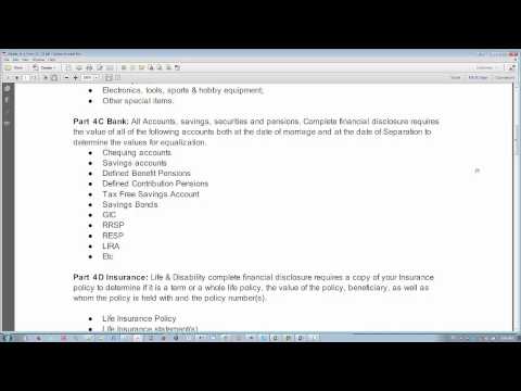 Overview of the Ontario Family Law Form 13.1 Financial Statement