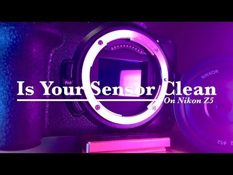 Nikon Z5: Checking sensor clarity (1649)
