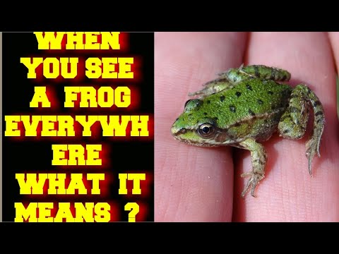 WHEN YOU SEE A FROG EVERYWHERE WHAT DOES IT MEAN?