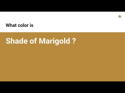 Shade of Marigold color #b88a3d hex color - Yellow color - Cool color b88a3d