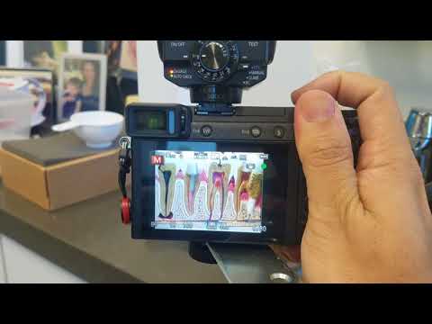 Gx-85: Manual focus and Back Focus