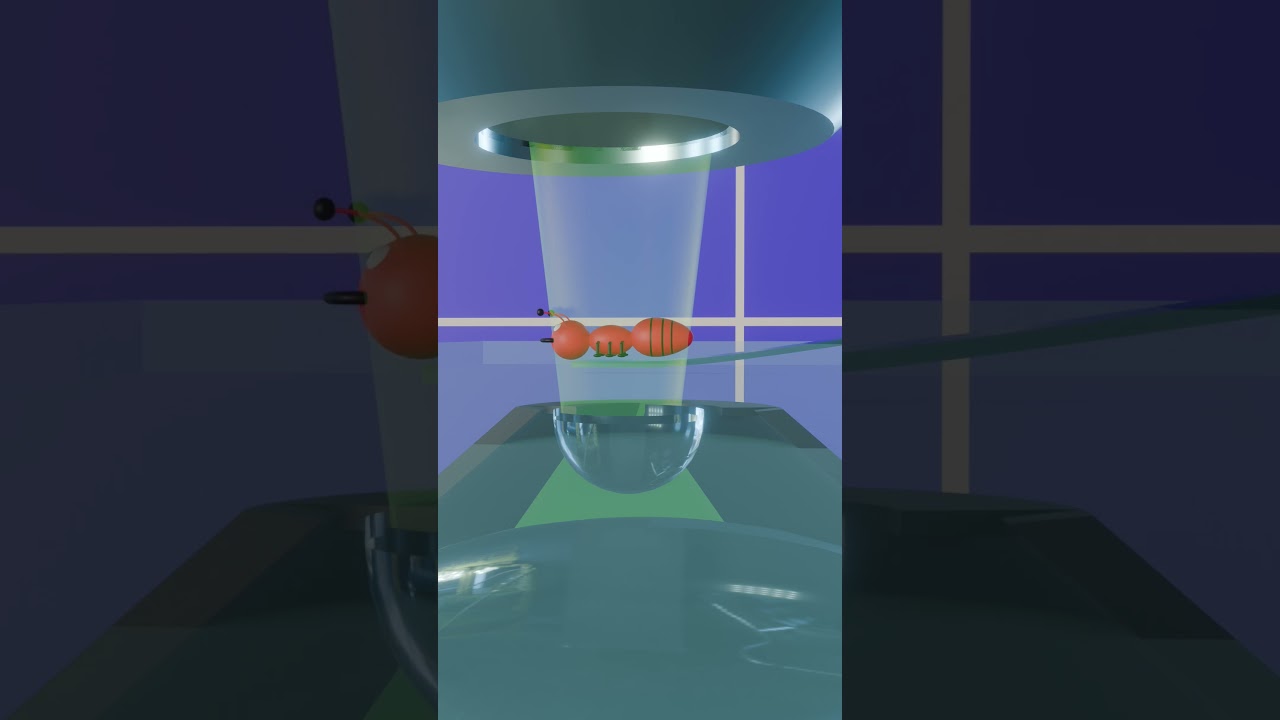 Working principle of the compound microscope in 3d animation. #microscope  #optics #physics #light