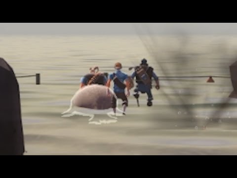 Steam Community :: Video :: There's a Seal in Team Fortress 2