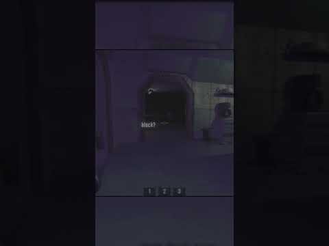 Steam Community :: Video :: Huntsman says no to BLM :( | REPO FUNNY MOMENT #repo