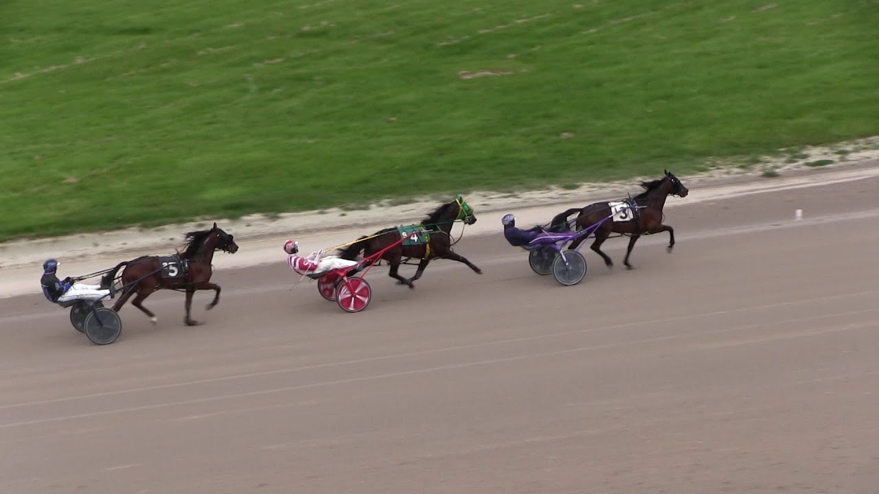 Eldorado Scioto Downs Qualifier #18  May 20, 2020