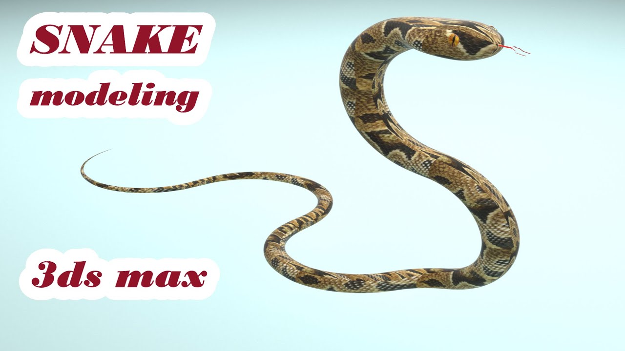 SNAKE modeling in 3ds max tutorial for Beginner no plugin