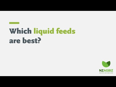Which liquid feeds are best?