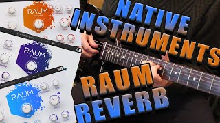 Native Instruments Raum - What To Know & Where To Buy | Equipboard